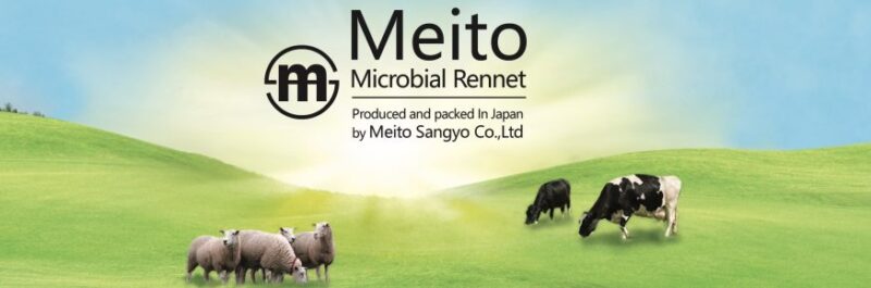 خانه - آسیا پانیذ | نمایندگی میتو ژاپن